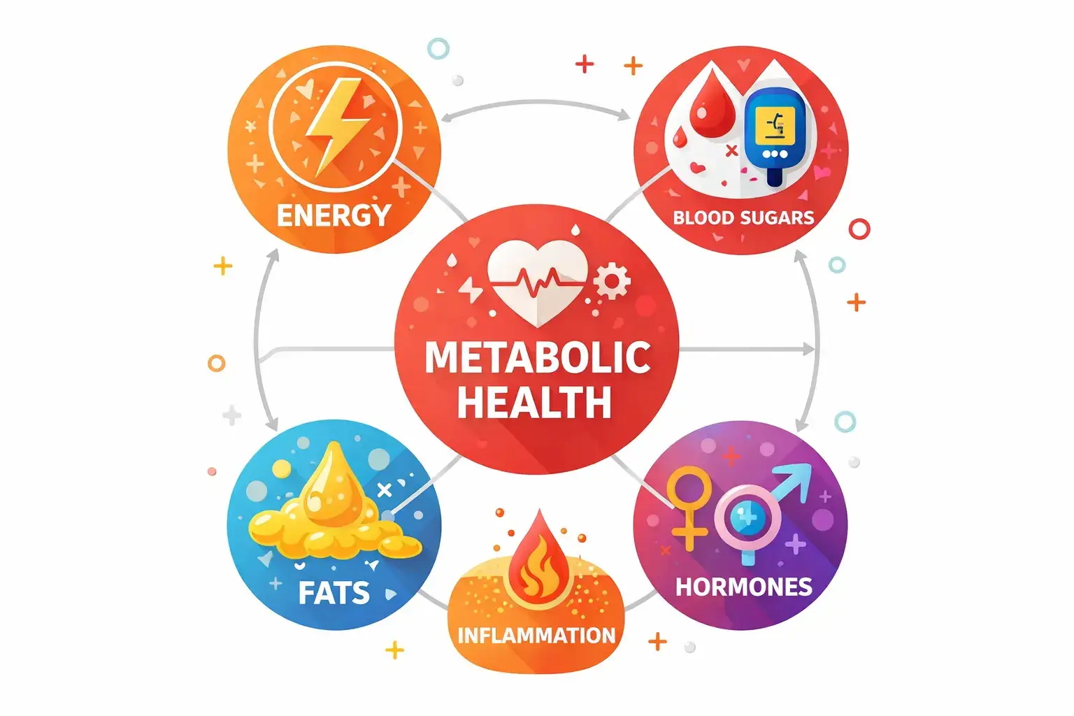 11 Blood Tests That Reveal Your Metabolic Health (Before Symptoms Appear)